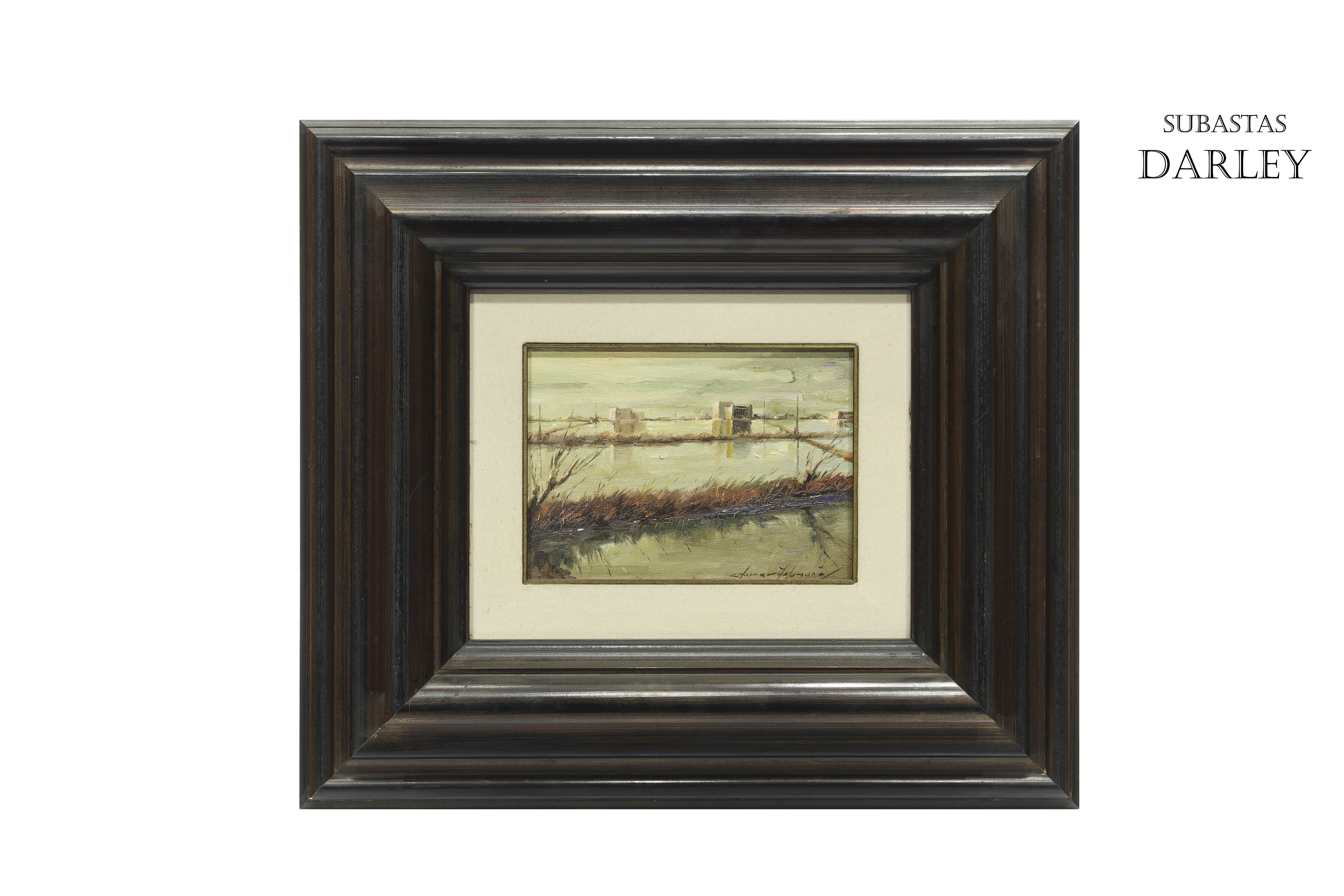 Colomer Talamantes (XX) "Campos de arroz"